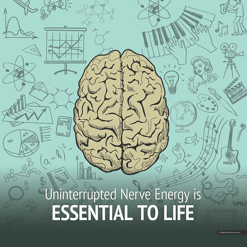 Uninterrupted Nerve Energy is Essential to Life – Chiropractic BioPhysics