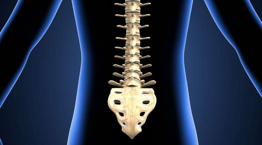 Module 5. Structural Rehabilitation of the Lumbar Spine – Chiropractic ...