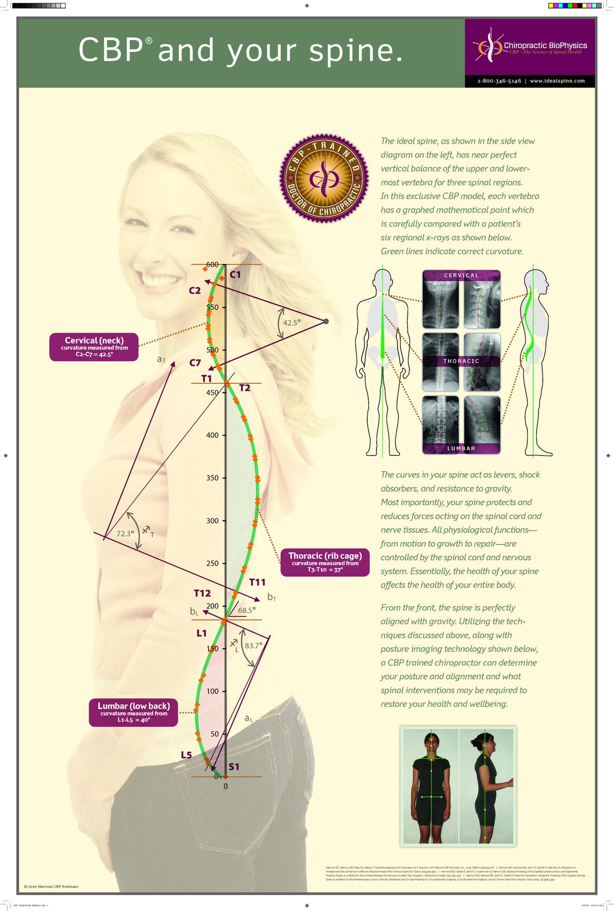 Ideal Posture, CBP & Your Spine – Chiropractic BioPhysics